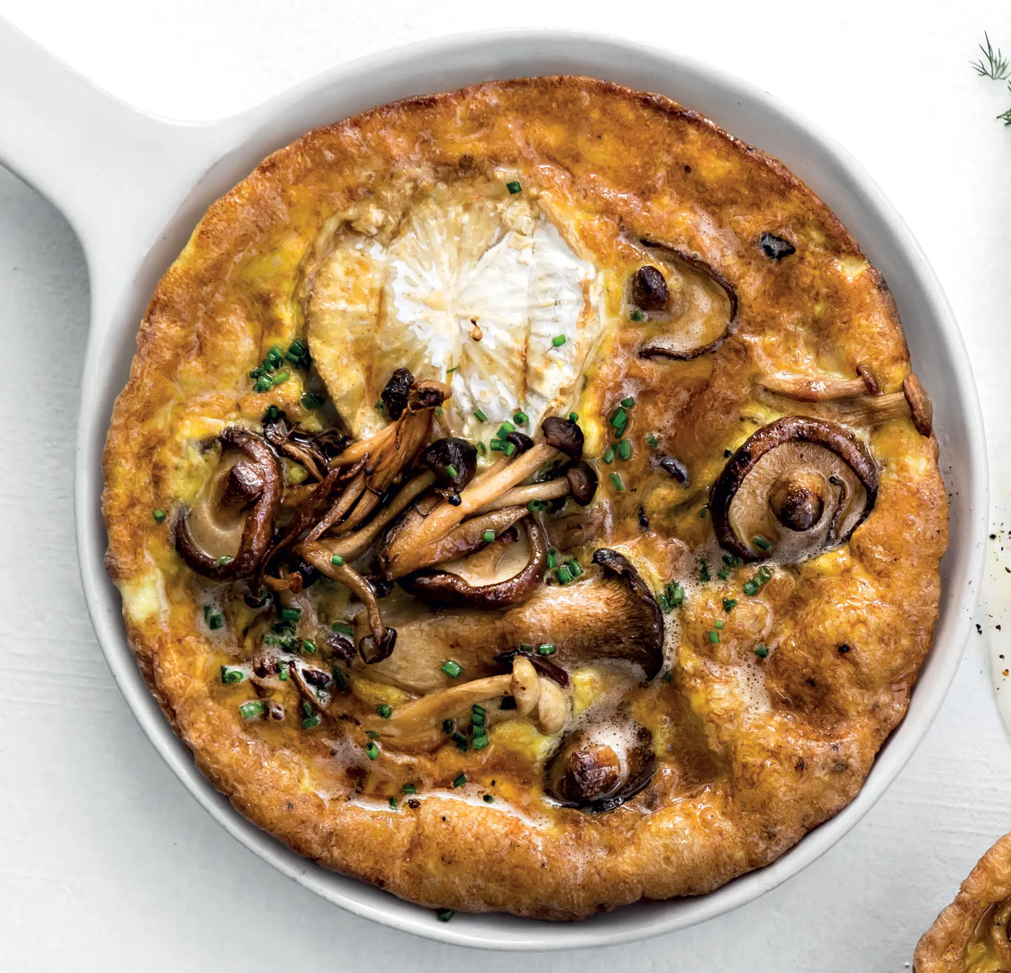 Exotic mushrooms 101 | Woolworths TASTE
