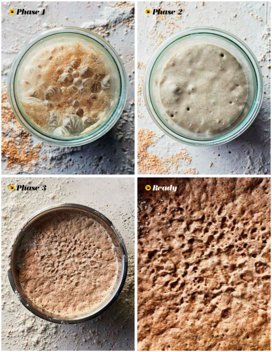 How to make a sourdough starter | Woolworths TASTE