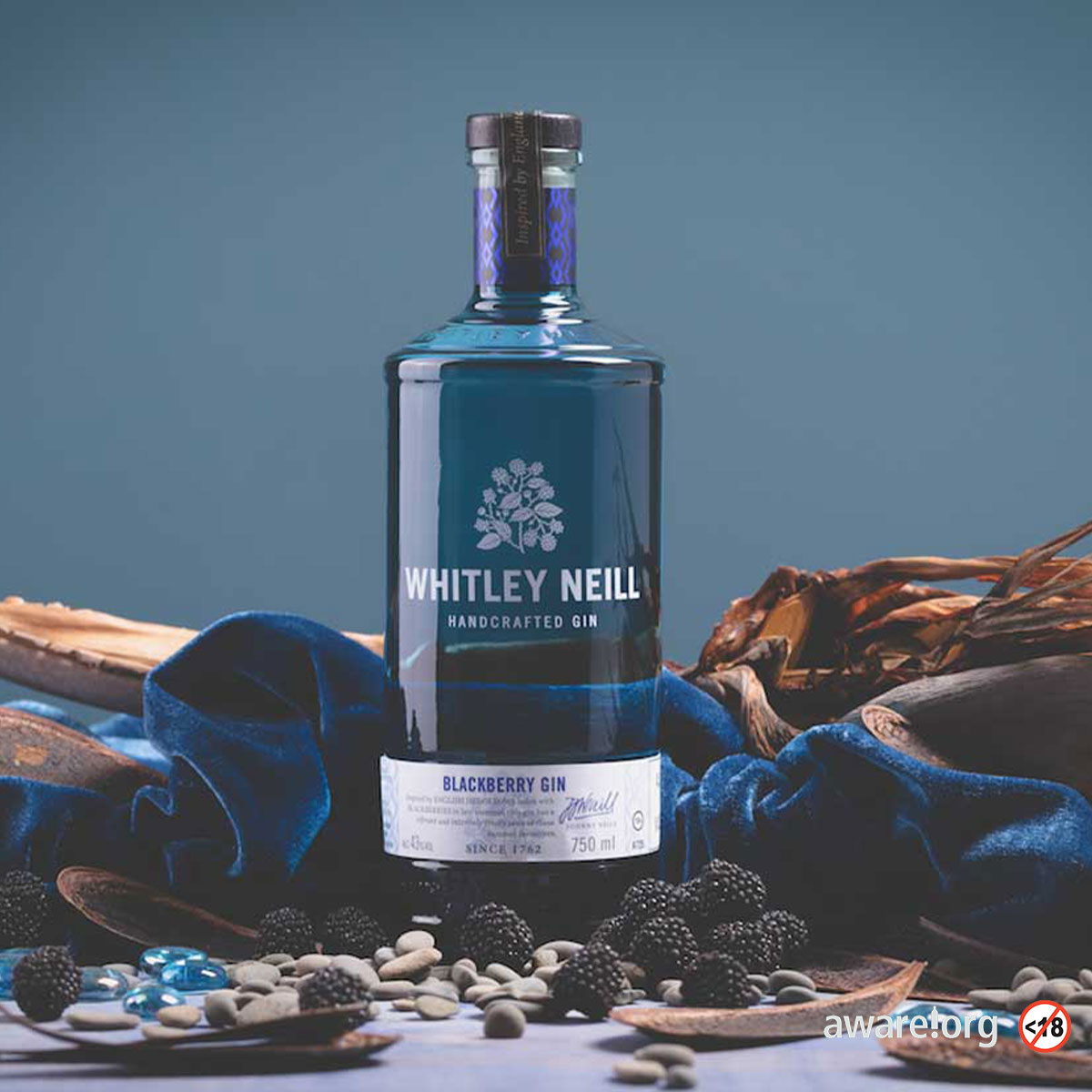 SPONSORED: Your summer tipple needs this Blackberry gin | Woolworths TASTE