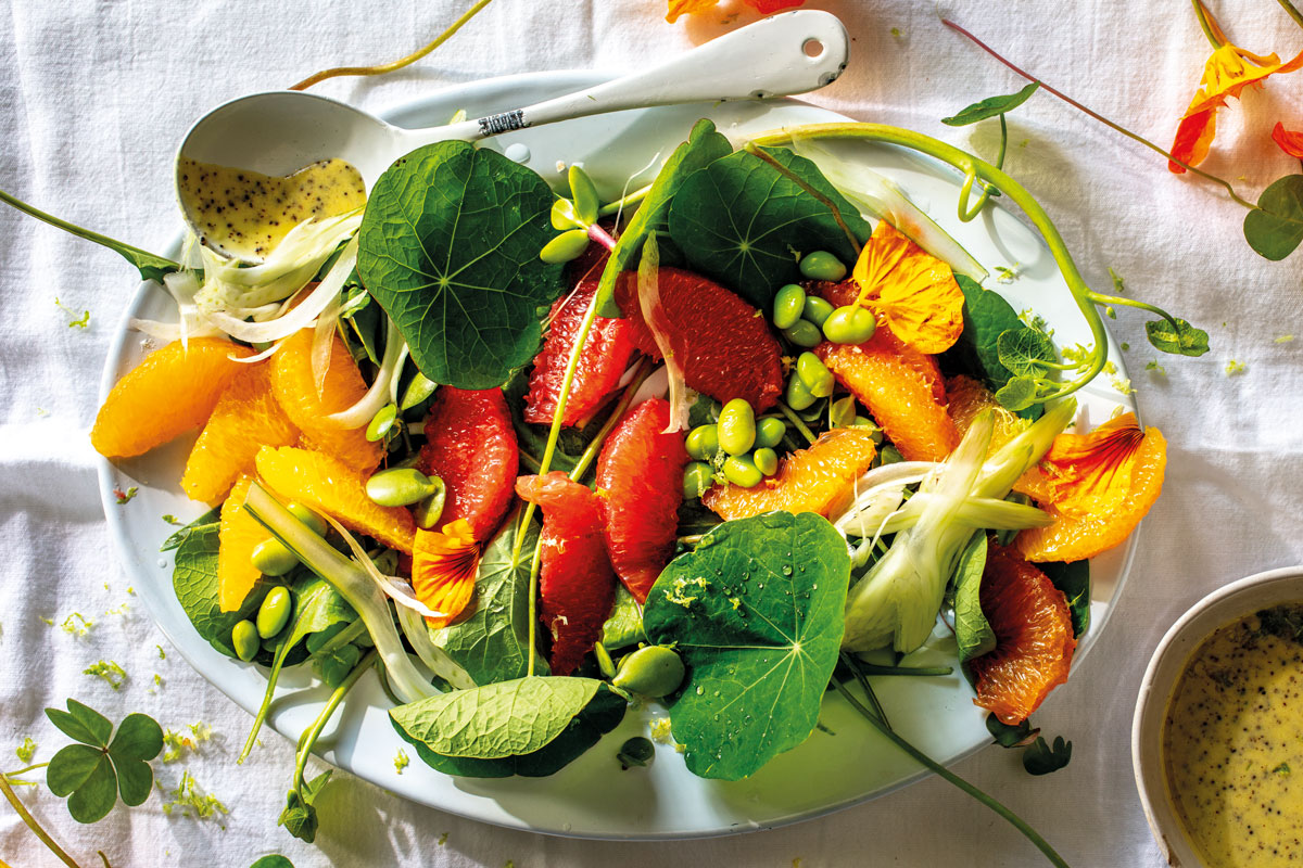 Wild Greens Salad with Citrus Dressing Recipe | Woolworths TASTE