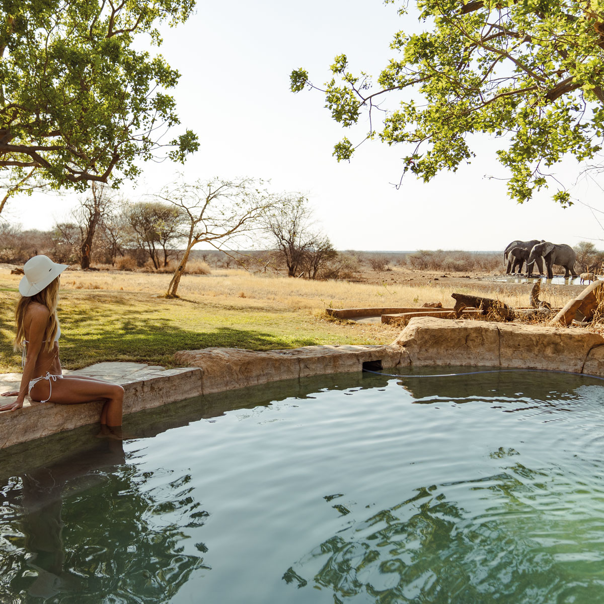 Win a two-night stay at Last Word Madikwe valued at R45 000 ...