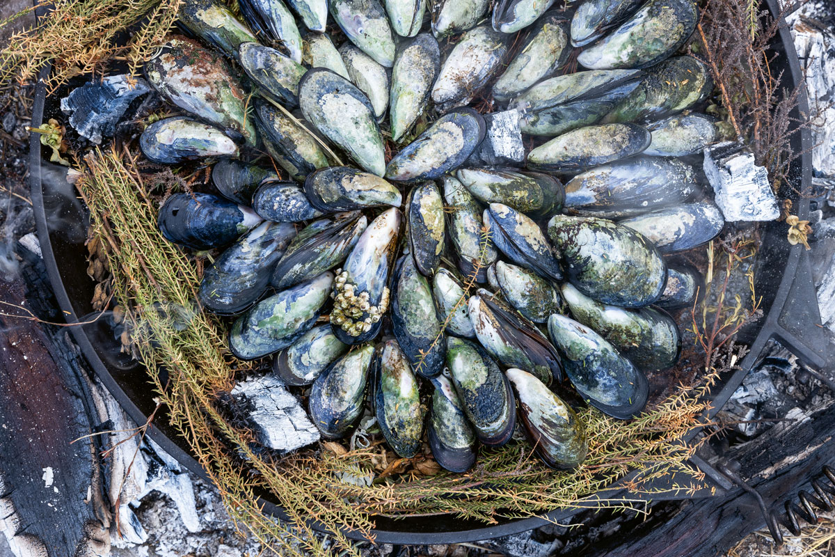 Fynbos-smoked mussels | Woolworths TASTE